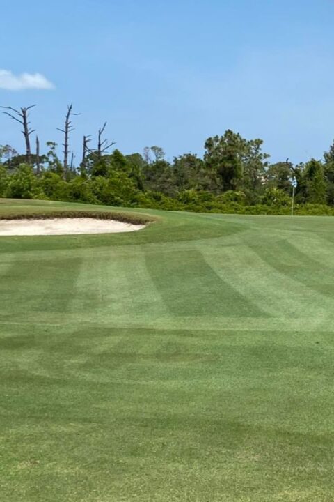 Rotonda Golf & Country Club - Award Winning Course in Port Charlotte, FL